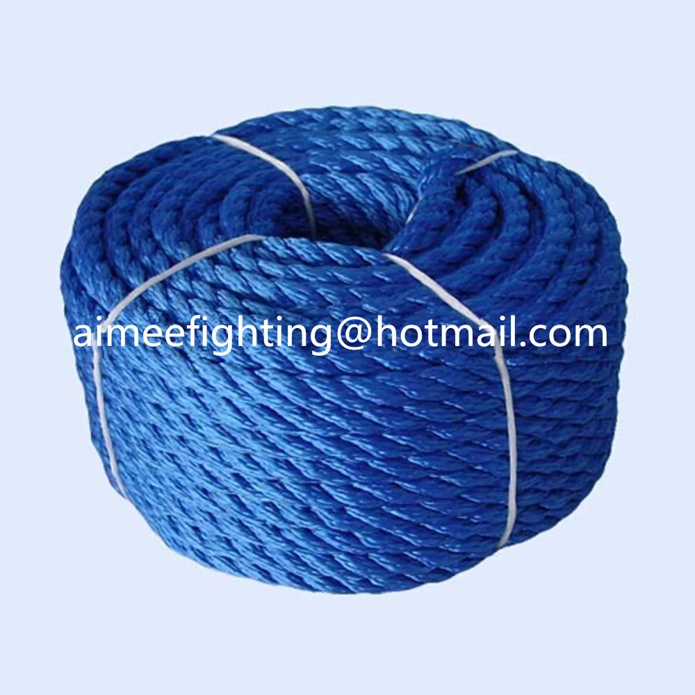 Cheap 3mm Pp Polyethylene Nylon Ropes Twine And Braided Rope - Buy ...