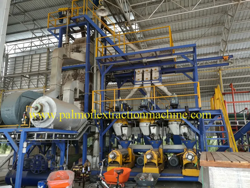 Palm Kernel Oil Extraction Machine - Efficient & Durable