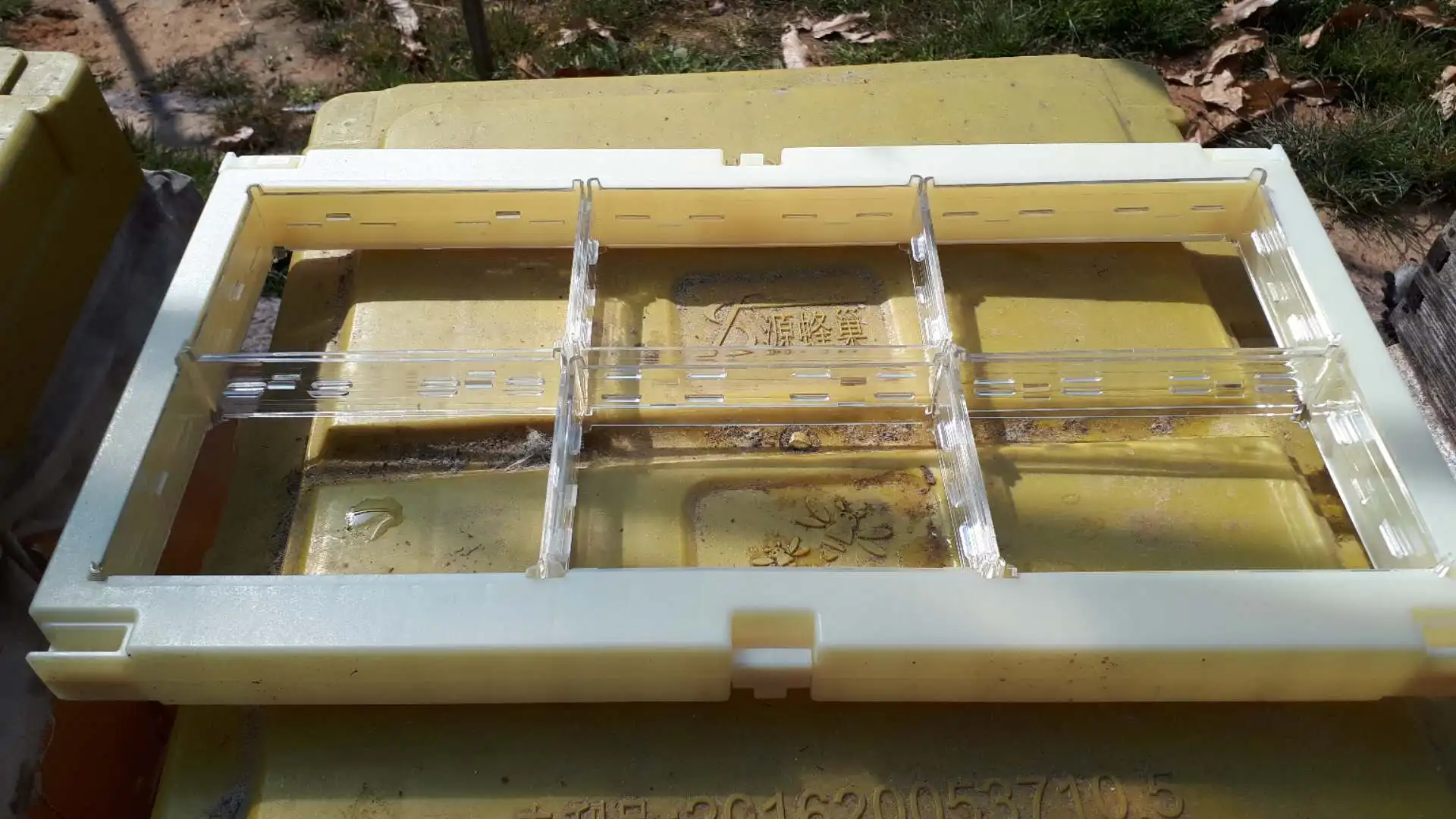 Honey Comb Box Honey Cassette - High Strength Beekeeping Supplies