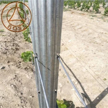 Galvanized Vineyard Trellis Post Grape Stakes Lip Channel Roll Forming ...