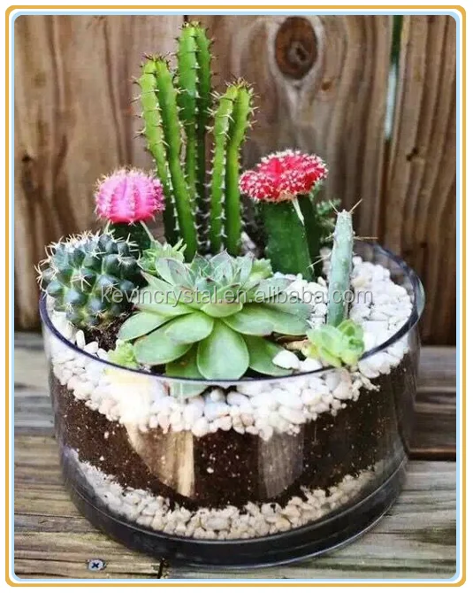 Large Glass Table Flower Vases/big Flat Cylinder Flower Plants Pot ...