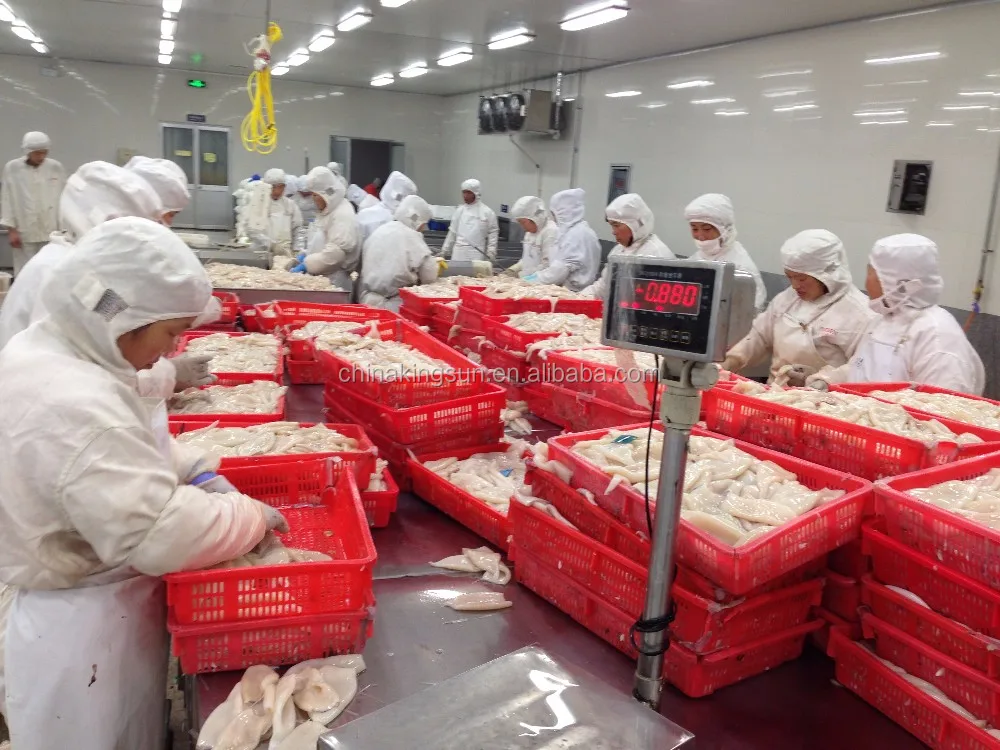 Frozen Iqf Interleaved Giant Squid Dosidicus Gigas U5 U7 Squid Tube ...