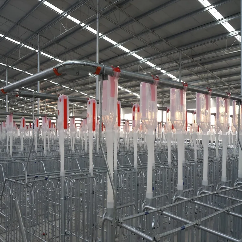 Hot Sale Pig Farm Equipment Automatic Feeding System For Pig House ...