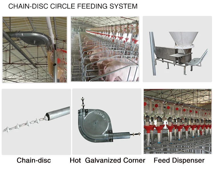 China pig house feeding line system Manufacturers and Suppliers ...