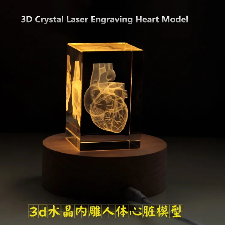 Medical Human Heart 3D Model - Laser Engraved Crystal Cube