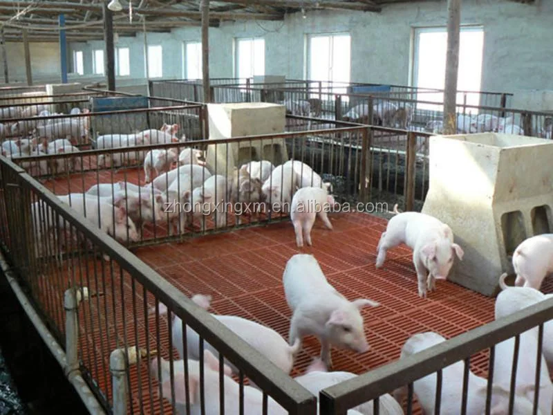 Goat & Sheep Plastic Slat Flooring for Farming Sheds | Durable ...