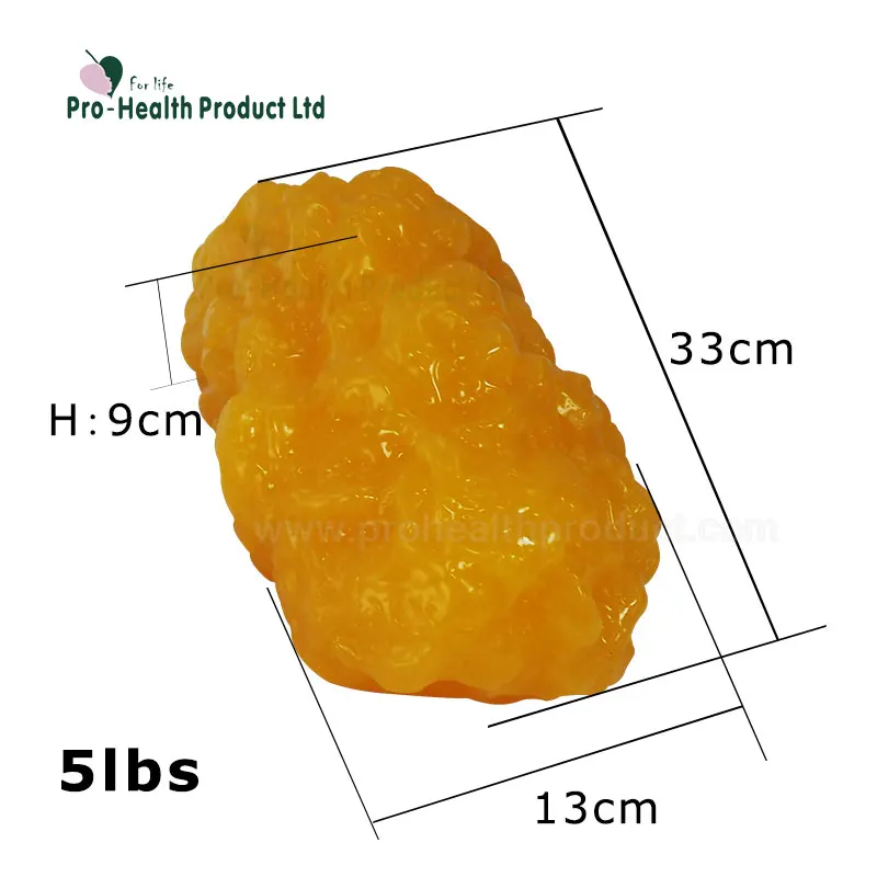 5lbs Artificial Adipose Simulator - Medical Fat Model