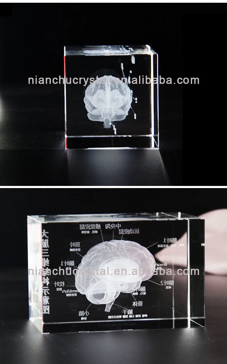 Brain Model Design Engraving Glass Block 3d Laser Crystal For Hospital ...