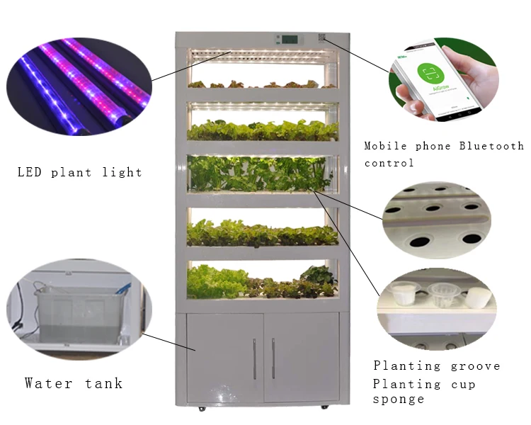 Automated Hydroponic System / Aeroponics Grow Systems With Smart Led ...