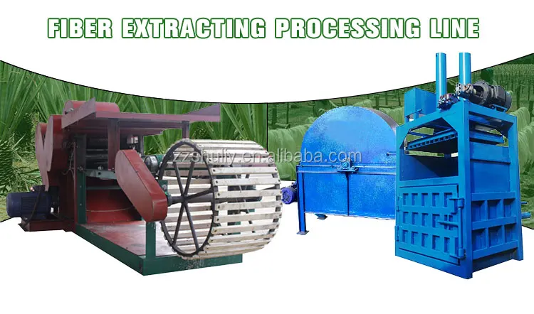 Abaca Decorticator Machine Efficient Flax Strip Extraction