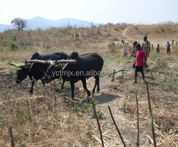 High Quality Ox Drawn Plough - Buy Animal Drawn Plough,Ox Drawn Plough ...