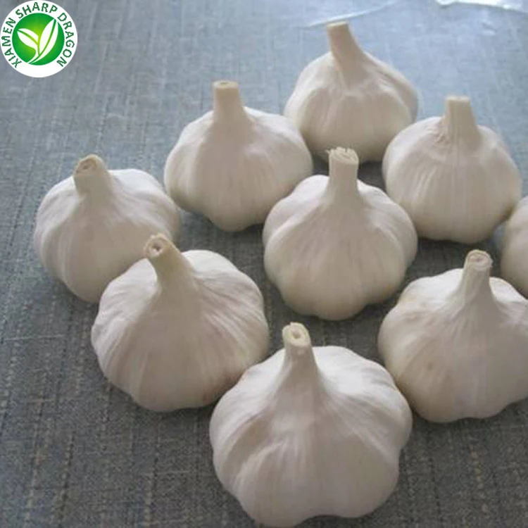 Supplier Wholesale New Crop Fresh Chinese 3p Pure White Garlic With ...