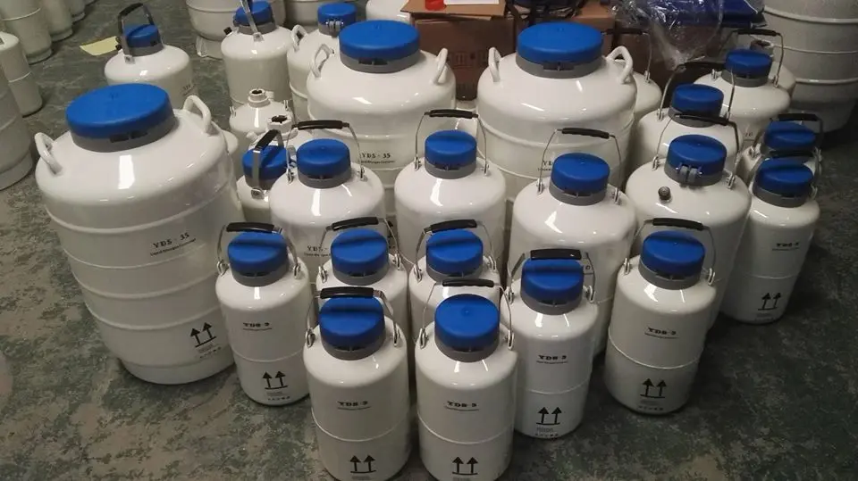 Yds-20 Liquid Nitrogen Container Small Capacity Liquid Nitrogen Dewar ...