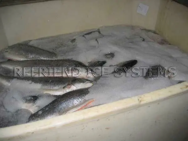 Water Cooled Seawater Slurry Ice Machine for Fish Preservation 10T