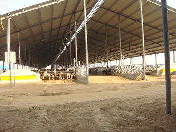 Cheap Steel Structure Cow Farm House In Bangladesh - Buy Cow Farm House ...