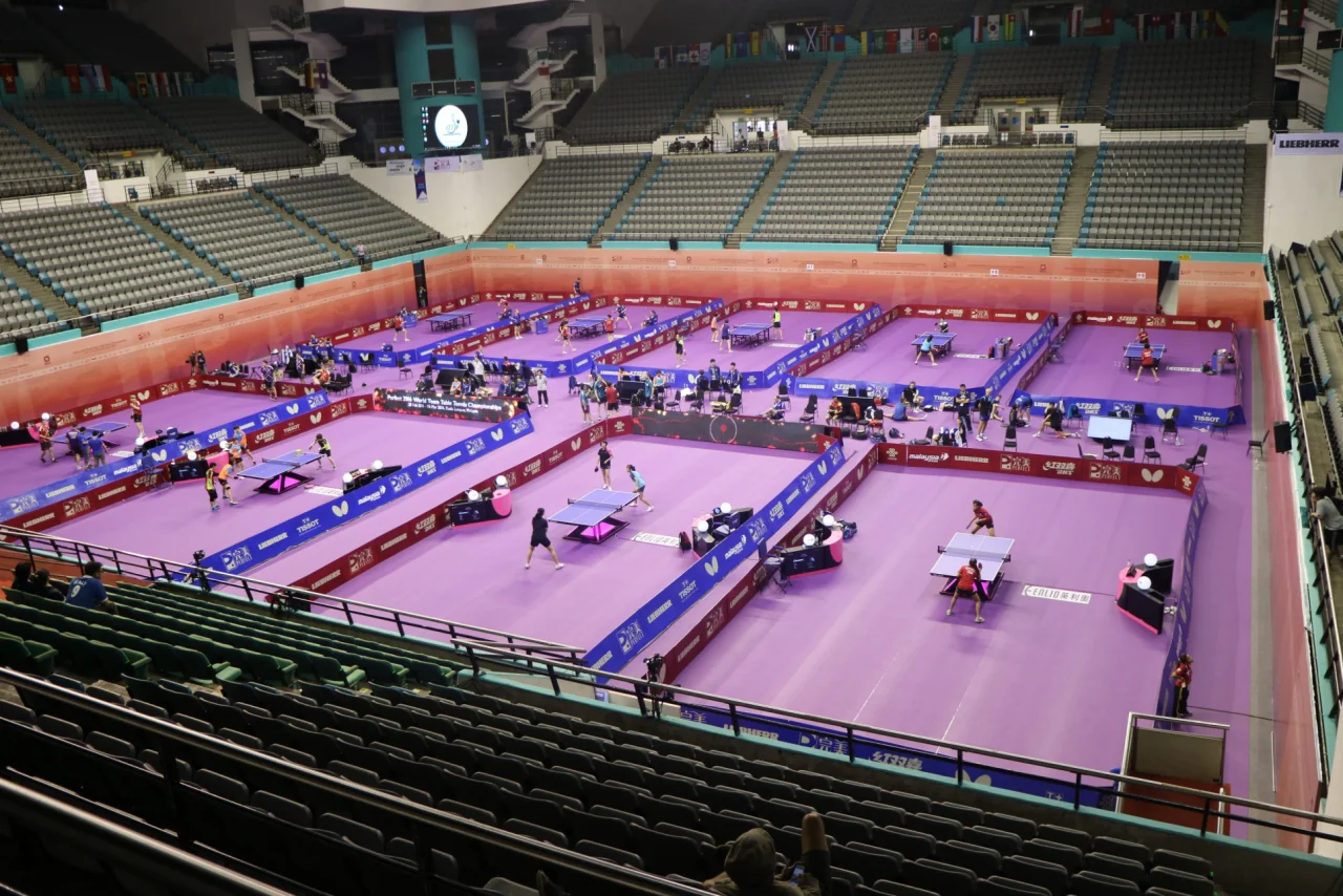 2019 Ittf World Championships Table Tennis Court Mat - Buy Table Tennis ...