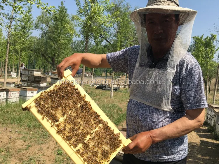 China Supplier Automatic 7 Flow Frames Beehive/bee Hive Cheap - Buy 7 ...