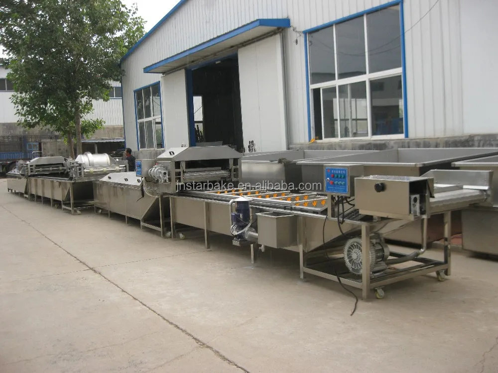 Small Scale Frozen Vegetable Production Line - STABAKE