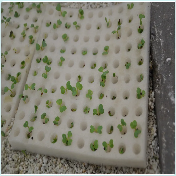 Hydroponic Growing Foam Sheets Growing Foam Sheets Hydroponics Sponge ...