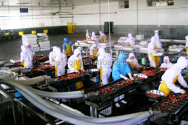 Automatic Canned Sweet Strawberry Processing Plant / Strawberry In ...