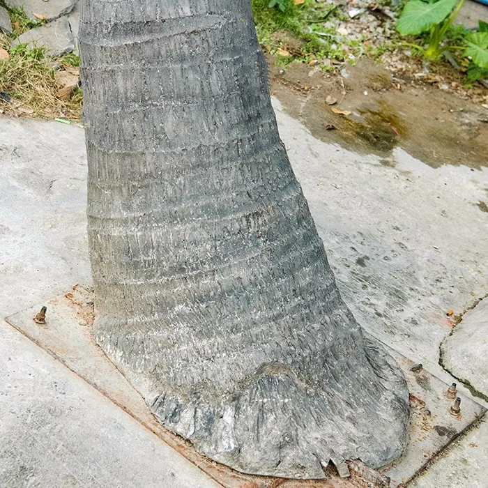 ST-CC46 Outdoors Summer Coconut Palm Tree - High Simulation