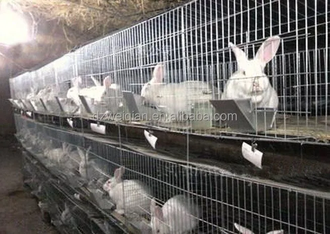 High Quality Rabbit Battery Cage For Sale,Cheap Rabbit Cages - Buy ...