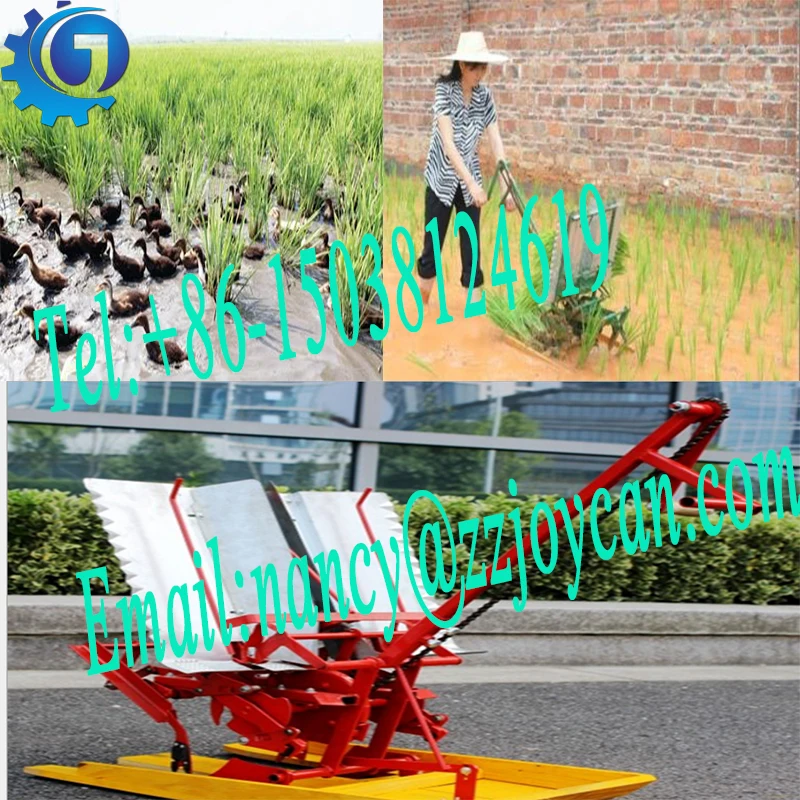 Hand Cranked Rice Paddy Seedling Planting Manual Rice Transplanter ...