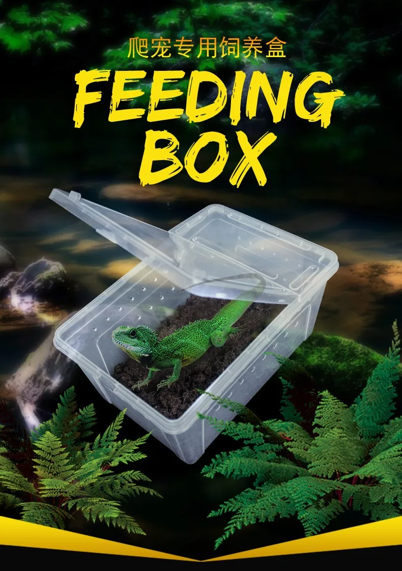 NOMOY PET Wholesale High Quality Middle Feeding Box Snake Box Reptile ...