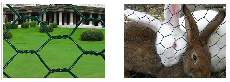 304 Stainless Steel 22 Ga. Chicken Poultry Wire Fence 1 Hex Mesh - Buy ...
