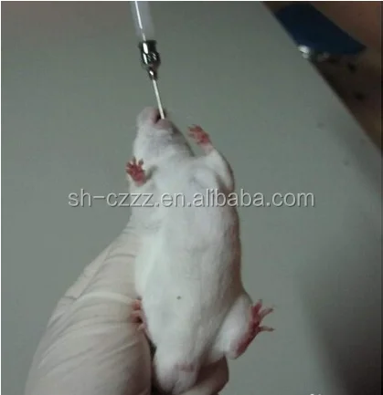 22g Mouse Feeding Needle Feeding Cannula Vetafarm Crop Needles - Buy ...