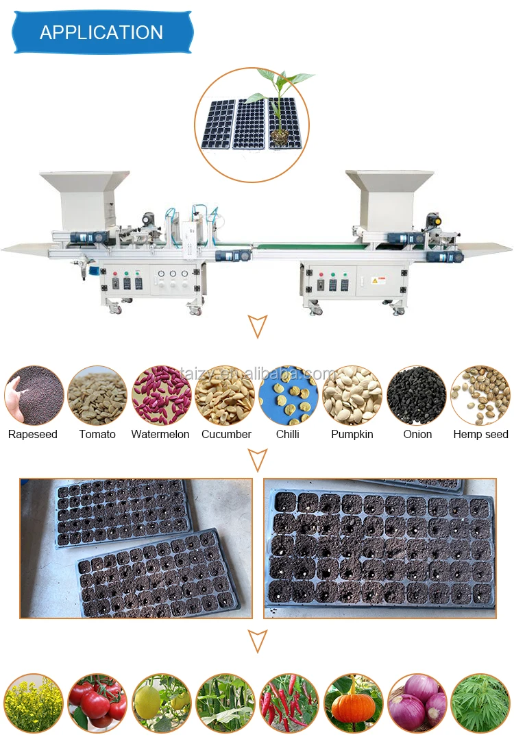 Automatic Nursery Tray Seeding Machine - Precision & Efficiency