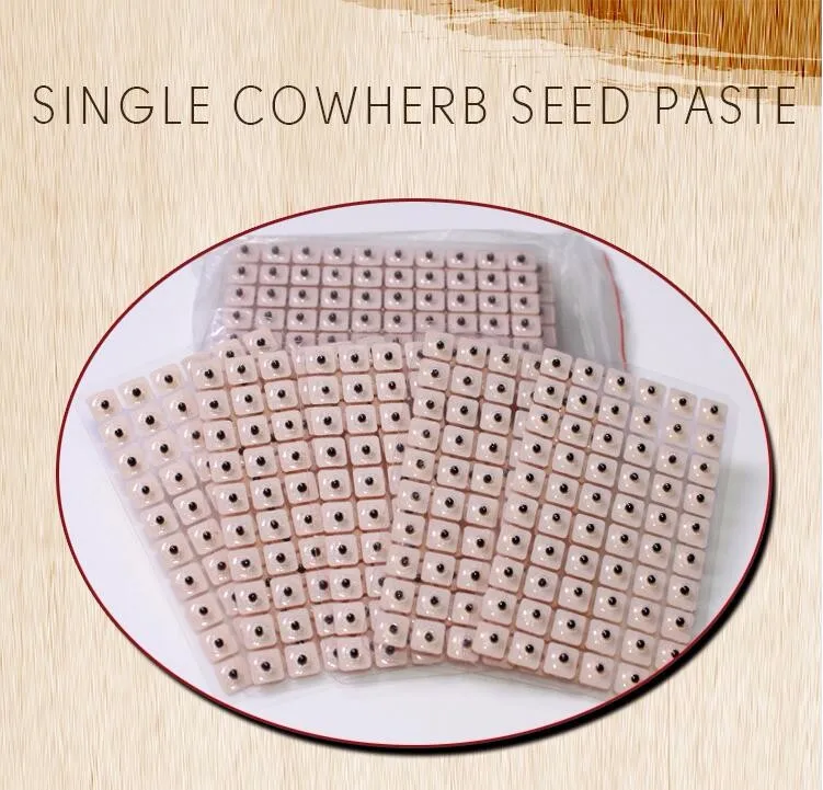 Healthcare Medical Chinese Acupressure Ear Pellets Vaccaria Seeds for ...