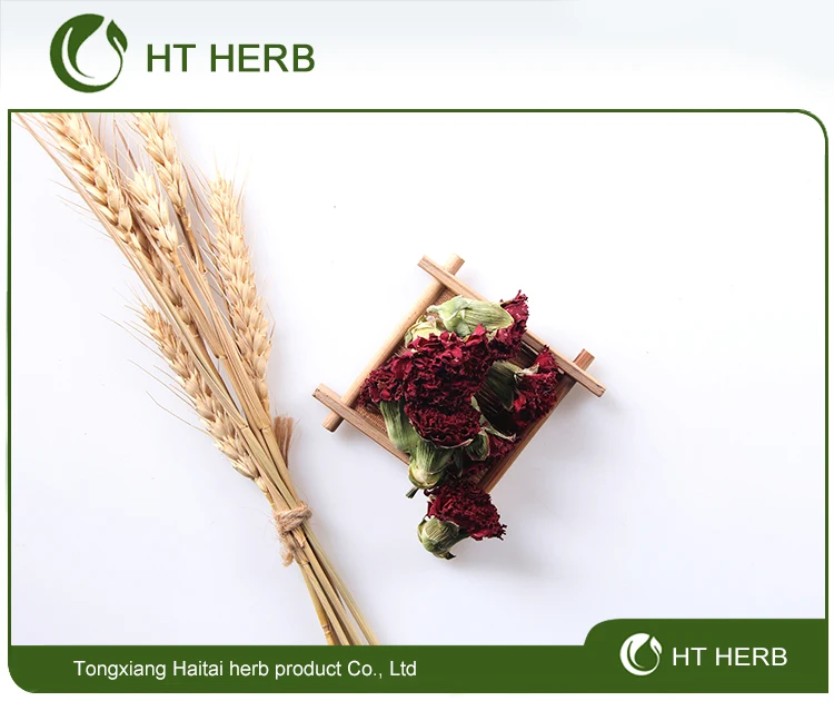 Hot Sale Fresh Handmade Carnation Dried Carnations Flower - Buy Fresh ...
