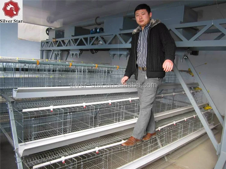 Automatic Pullet Baby Chicken Battery Brooder Cage For Day Old Layer ...