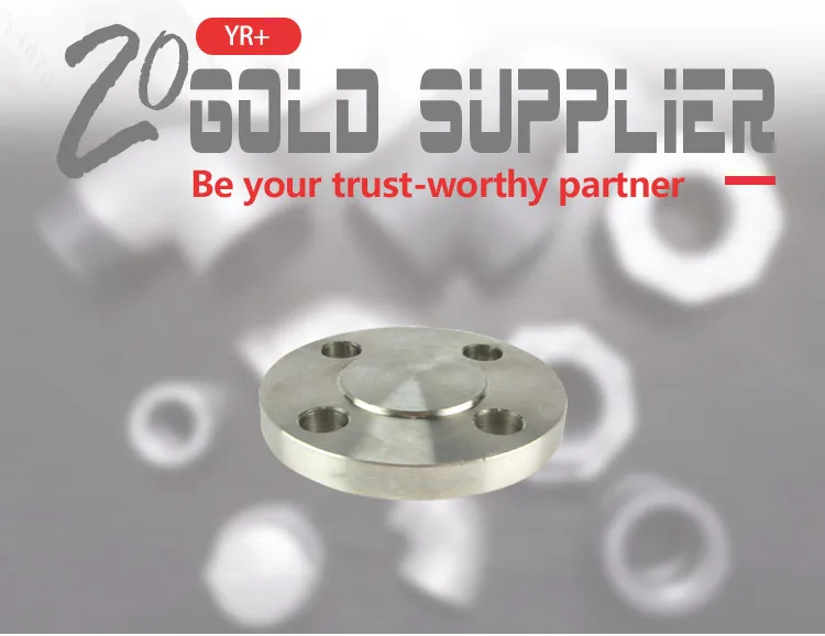 Stainless Steel Flange Paddle Blind Pipe Fittings With Tapped Hole ...