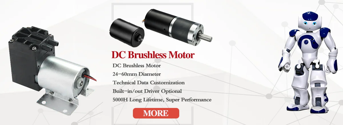 TT Motor (Shenzhen) Industrial Co., Ltd. - DC Motor