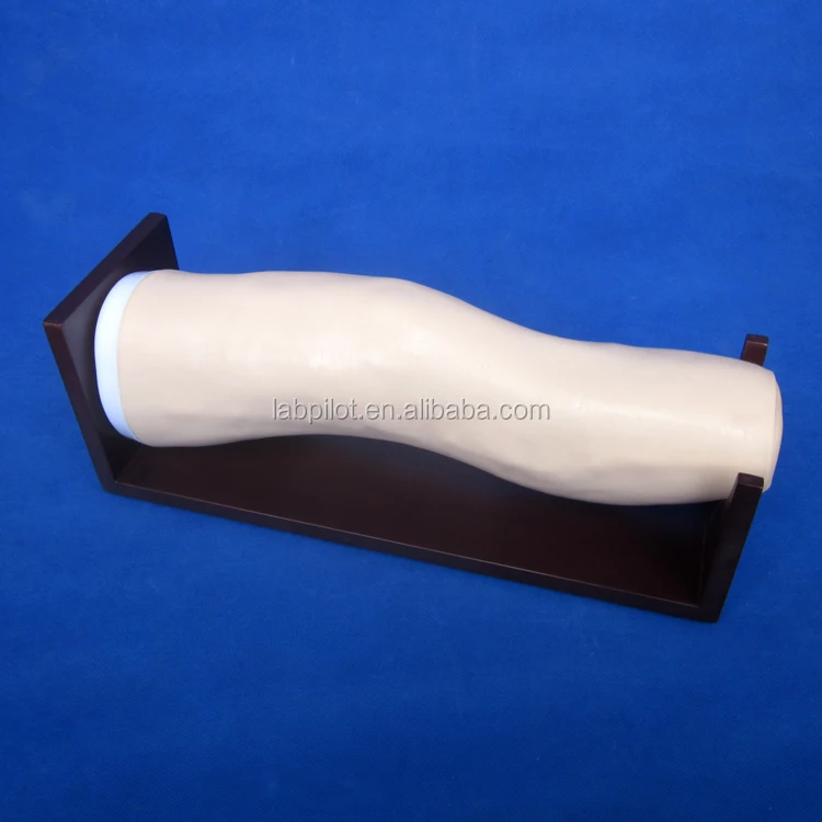 Electronic Knee Joint Intra-articular Injection Training Model - Buy ...