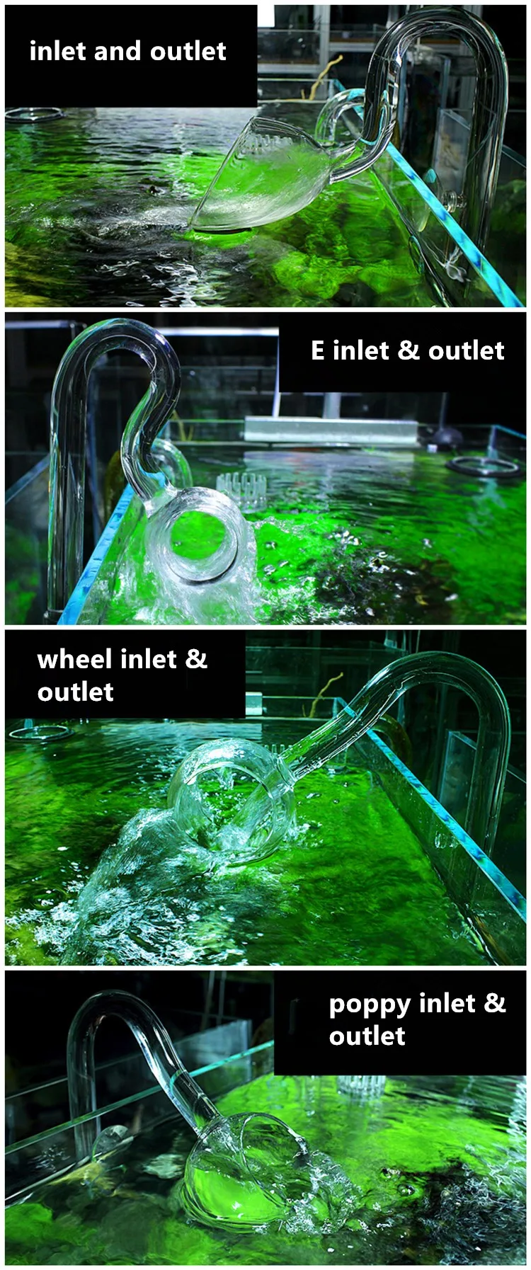 Glass Outflow & Inflow Live Water Plants Aquarium Lily Pipe - Buy Lily ...