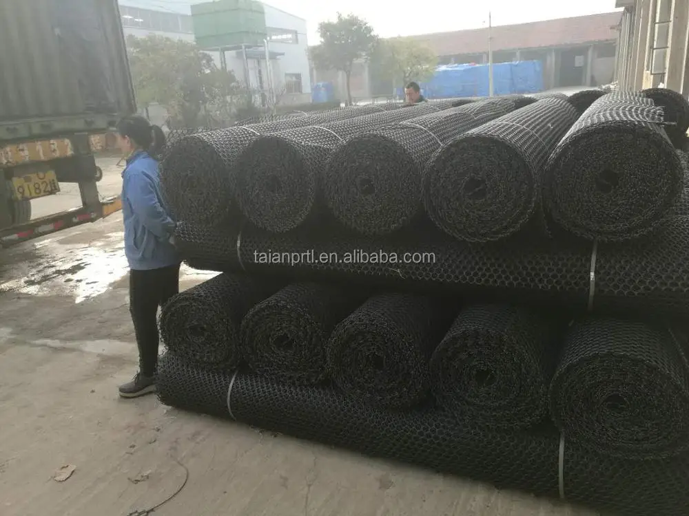 Hdpe Geonet Ce Manufacturer - Buy Hdpe Geonet Ce Manufacturer,Hdpe ...
