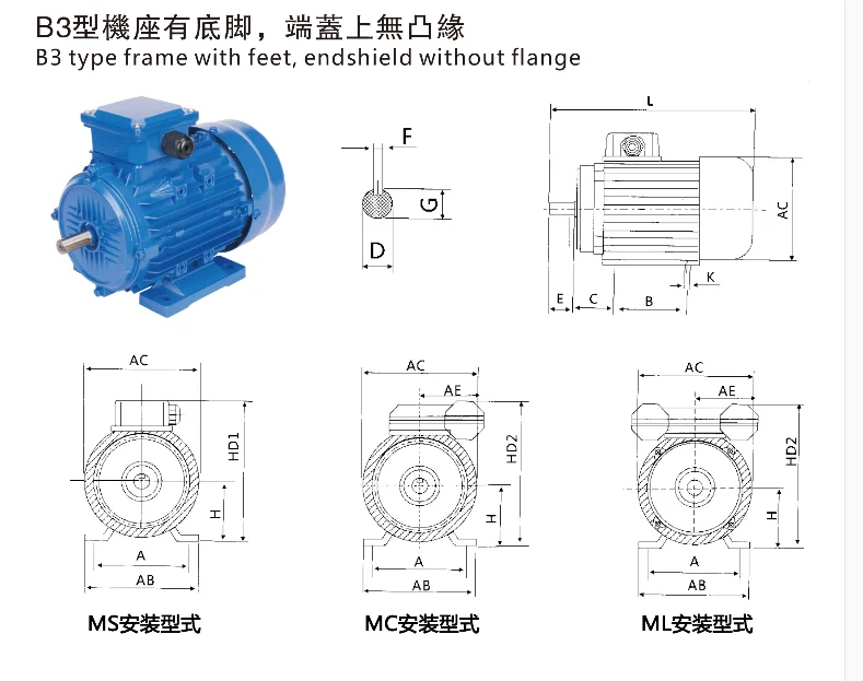 MS 3 Phase Asynchronous Motors - High Efficiency & Durability