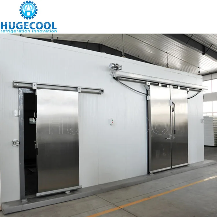 Cold Room Hinged Doors & Sliding Doors - Durable & Efficient