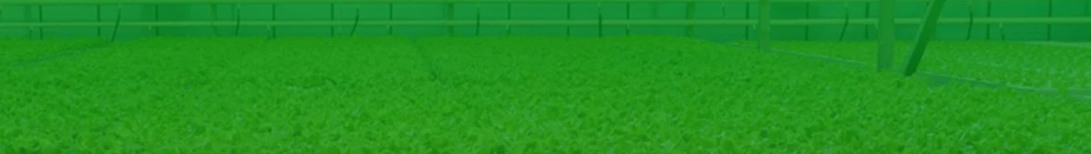 Shenzhen Kingbrite Lighting Co., Ltd. - Quantum Board, Quantum Strip