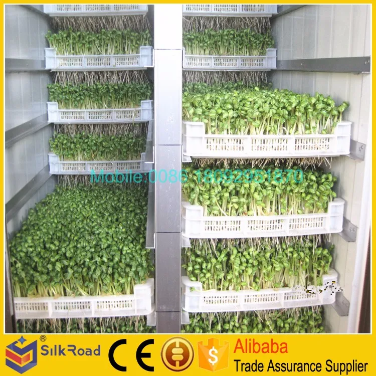 Factory Supply Commercial Sprout Equipment Sprouting Seeds - Buy Sprout ...