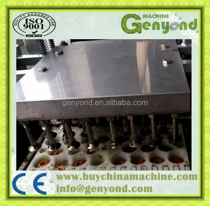 Cherry Pitting Machine / Olive Seed / Cherry Pit Removing Machine - Buy ...