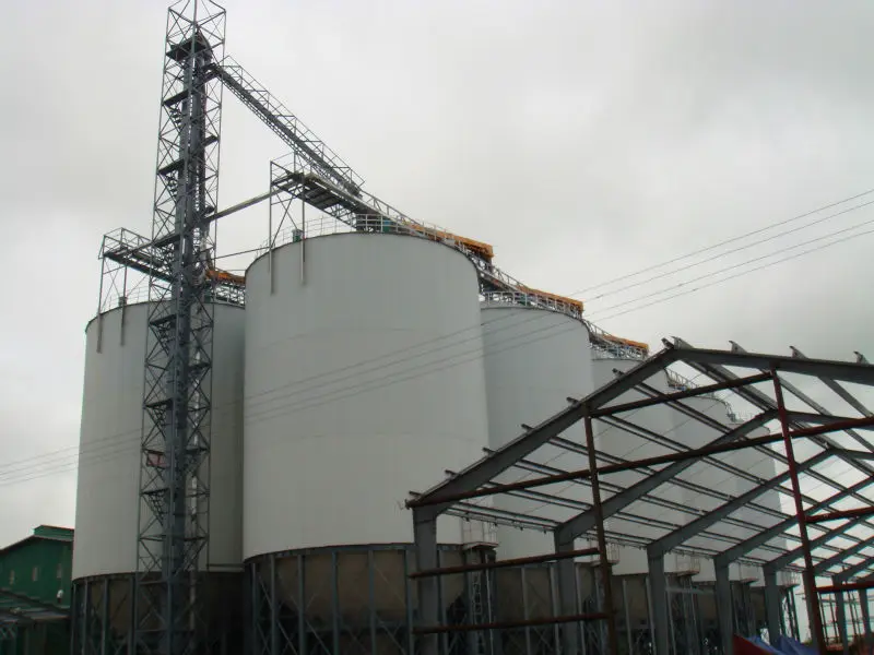 High Safety Resin Silo for Bulk PE PVC with Ladder Cost