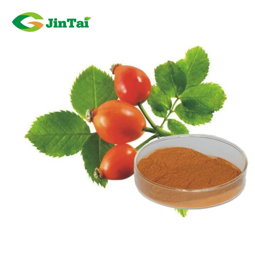 Rose Hip/rosehip Extract / Rose Hipe Extract Vc Powder - Buy Rose Hip ...