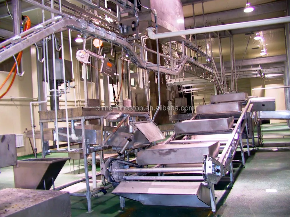 Complete Cattle Slaughter Line And Cutting Line For Slaughterhouse ...