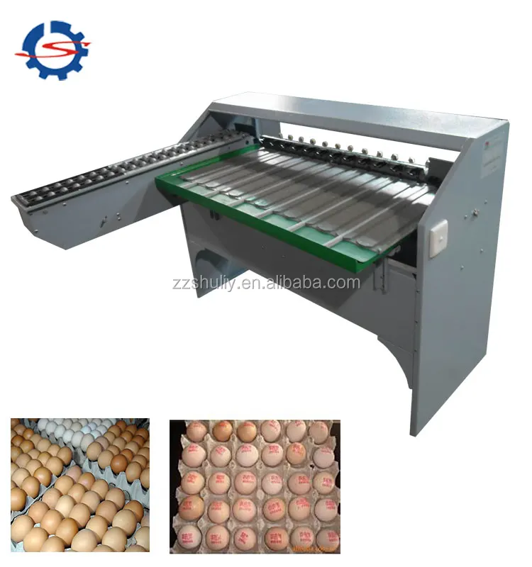 Automatic Eggs Grading Machines - Efficient & Reliable