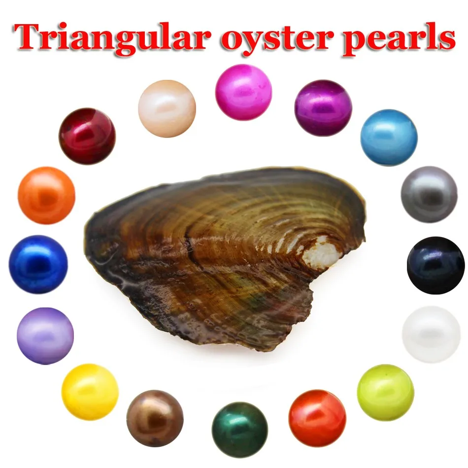 2 Pieces Freshwater Pearl Mix Color Oysters With Single 6-8 Mm Round ...