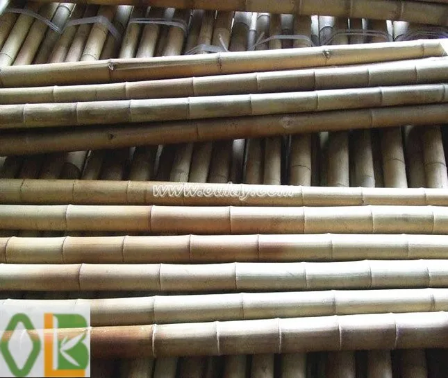 Large Bamboo Sticks Raw Big Bamboo Poles Wholesale Bamboo Canes Poles ...
